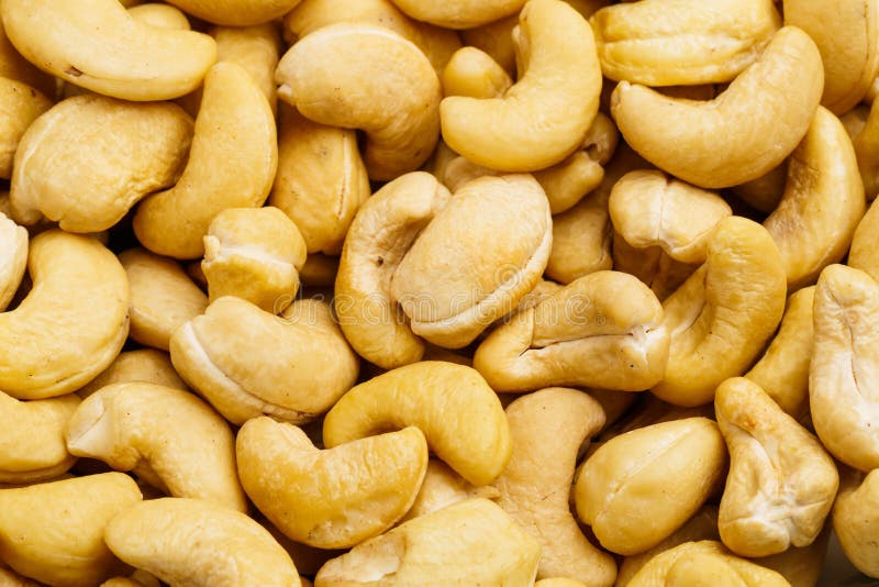 Fresh cashew nuts stock image. Image of kernel, health - 33372289