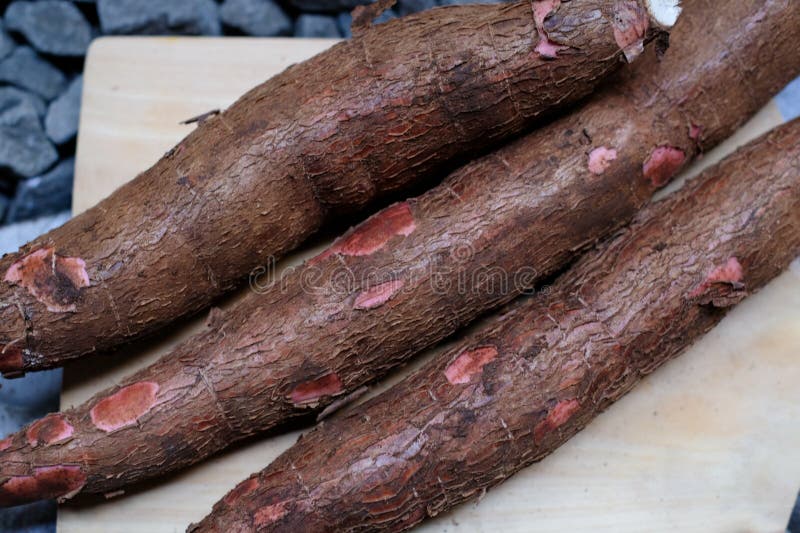 Fresh Cassava Roots on Wooden Table on Top Rocks in Outdoors Stock ...
