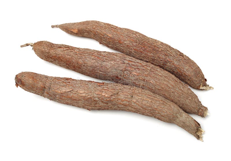 Fresh cassava slices stock photo. Image of fresh, green - 137648756