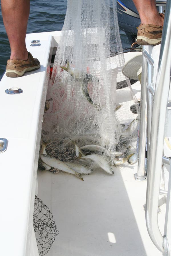 Fresh Catch Picture. Image: 1285747