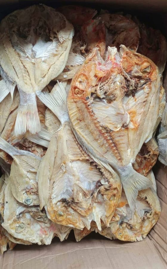 Fresh Catch Delights: Fish Market Treasures Stock Image - Image of ...