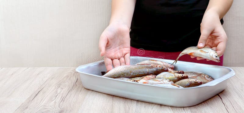 Fresh Catch of River Fish in a Bowl on the Table Stock Photo - Image of ...