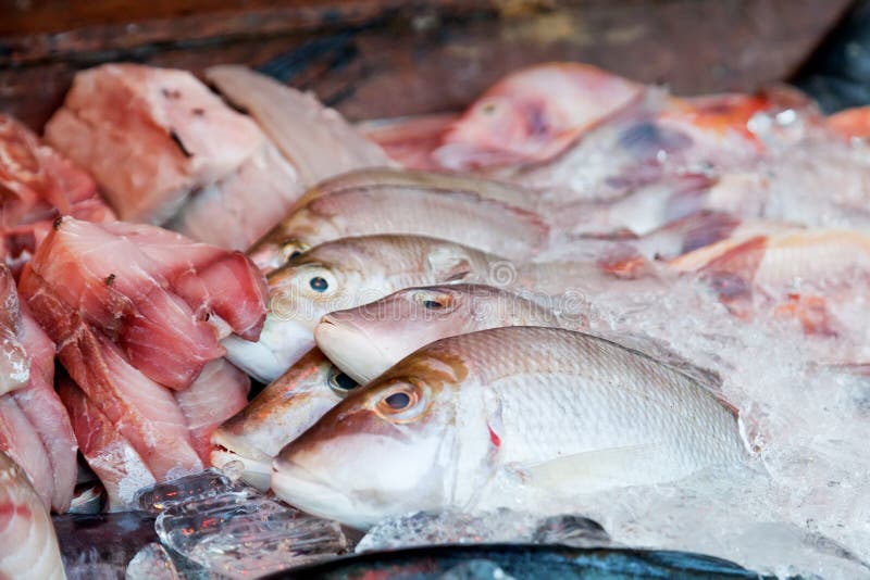 Fresh-caught sea fish stock image. Image of fish, asia - 29621791