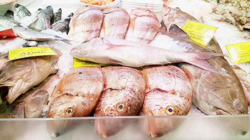 Fresh-caught Sea Fish on a Counter in the Fish Market Stock Photo ...
