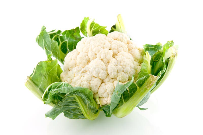 Fresh Cauliflower stock image. Image of horticultural - 4970427