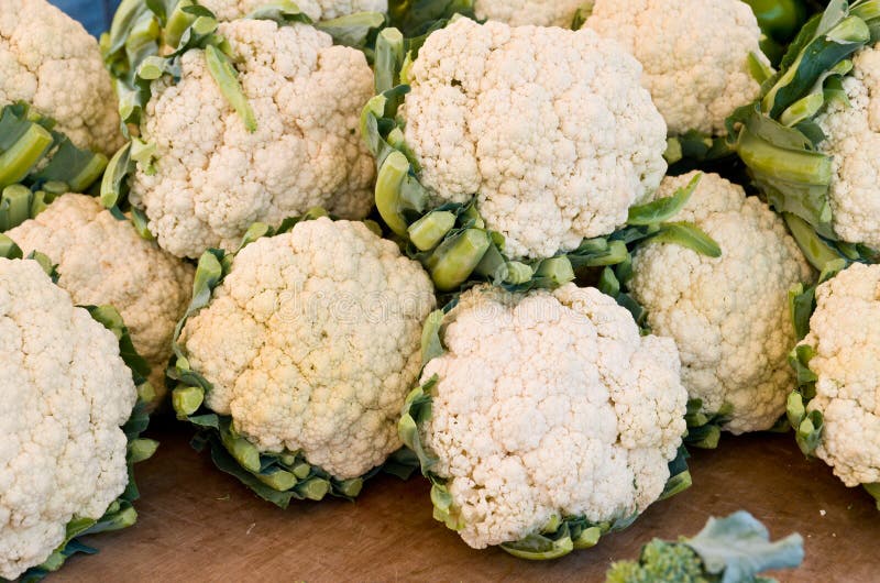 Fresh Cauliflower stock photo. Image of fresh, vegetable - 26455934