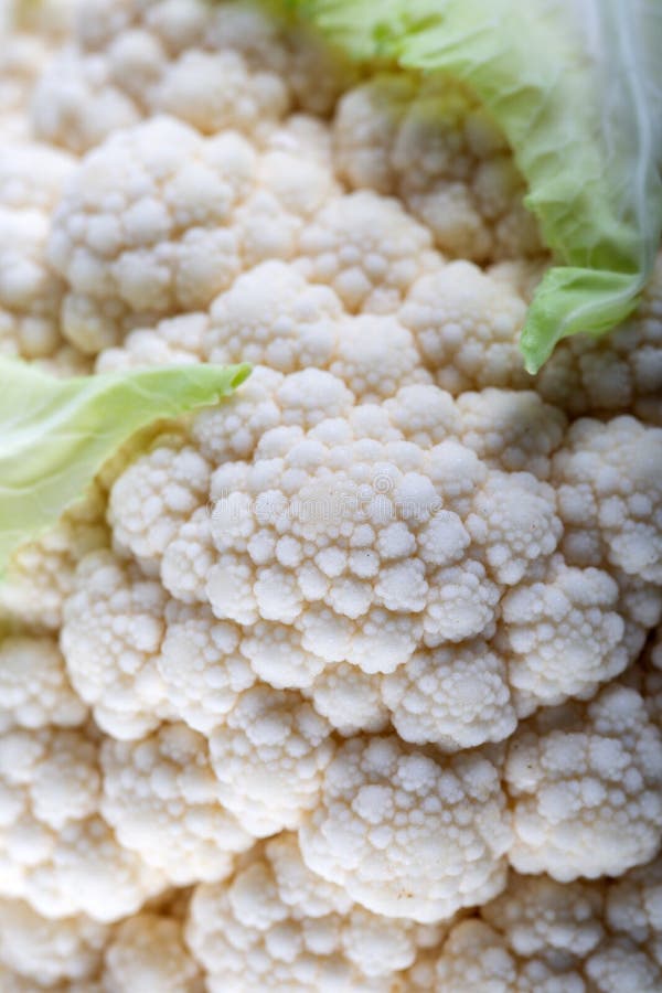 Fresh Cauliflower. Background and Texture. Close Up Stock Photo - Image ...