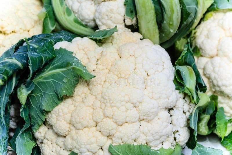 Fresh Cauliflower stock image. Image of vitamins, cabbage - 53547795