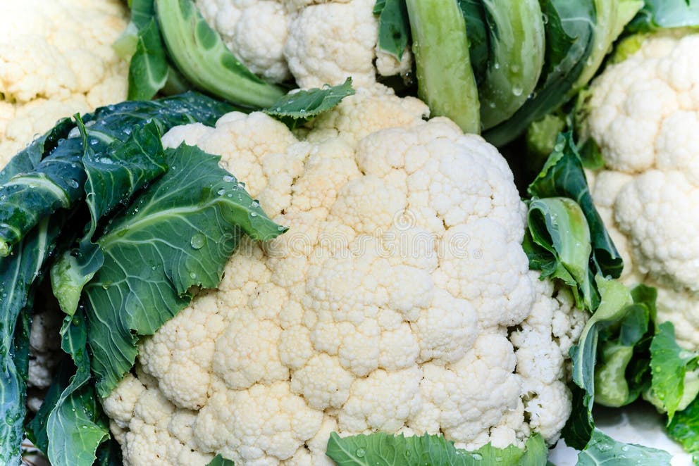 Fresh Cauliflower stock image. Image of vitamins, cabbage - 53547795