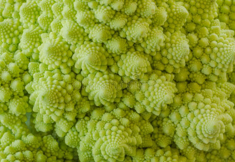 Fresh cauliflower stock image. Image of agricultural - 48612201