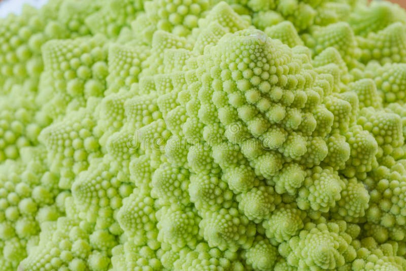 Fresh cauliflower stock photo. Image of closeup, romanesco - 48612224
