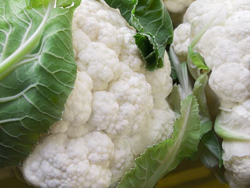 Fresh cauliflower stock image. Image of flower, green - 77991303