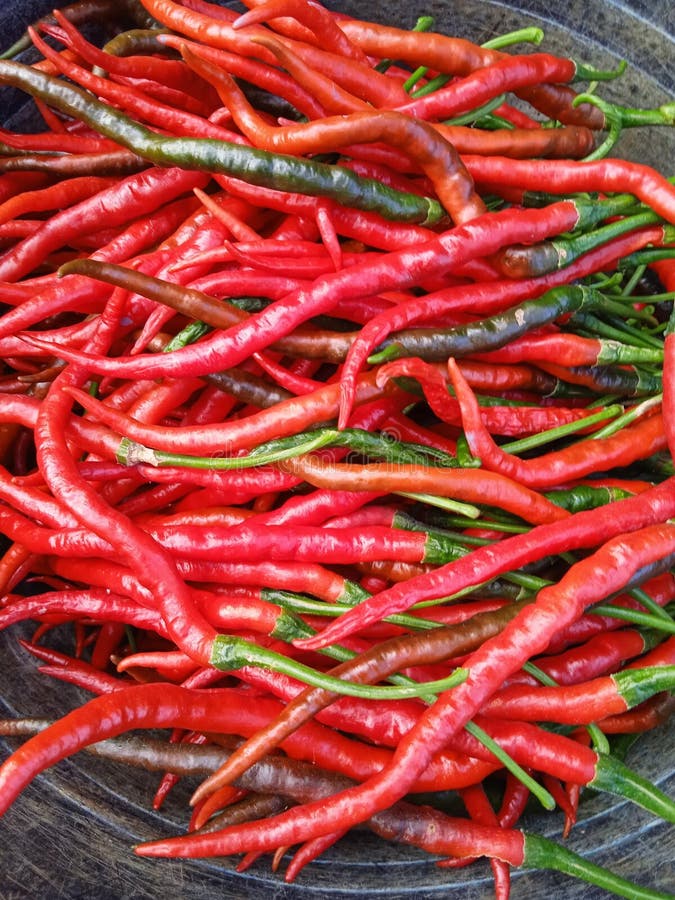 Fresh cayenne pepper stock image. Image of pepper, tomato - 272034157