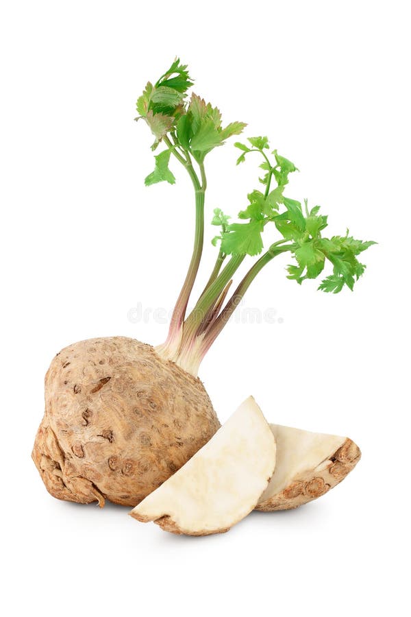 Fresh Celery Root with Leaf Isolated on White Background Stock Photo ...