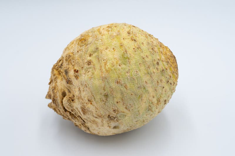 Fresh Celery Root on a White Background. Vegetable, Healthy Food. Stock ...