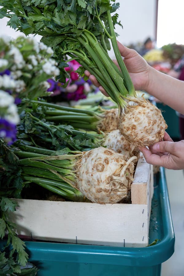 Fresh Celery Roots on Market Stand Stall Stock Image - Image of eating ...