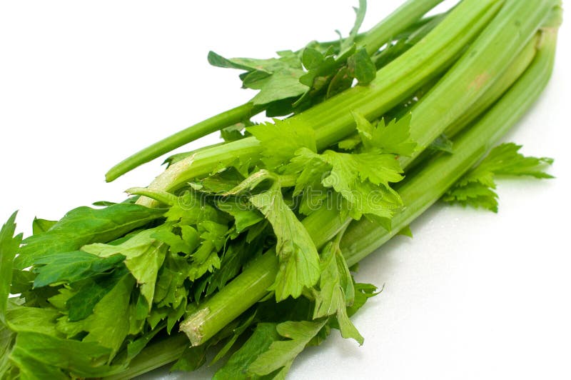 Fresh Celery Stalk with Leaves on a White Stock Image - Image of ...