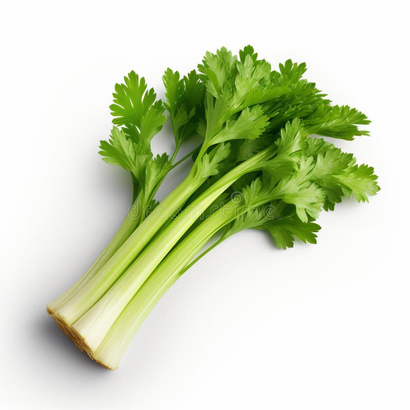 Fresh Celery Stalks Isolated On White Background Image Stock Illustration Illustration Of