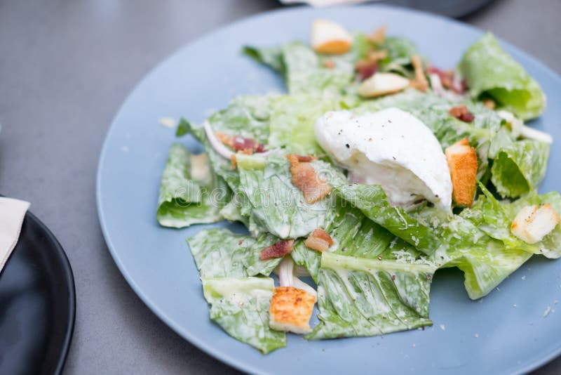 Fresh cesar salad on plate stock image. Image of lettuce - 155232963
