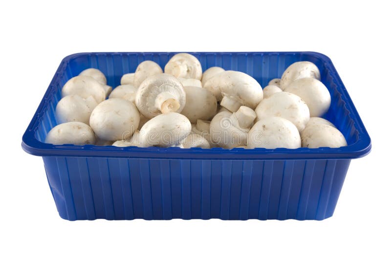 Fresh Champignion Mushrooms in Blue Box Stock Photo - Image of fall ...