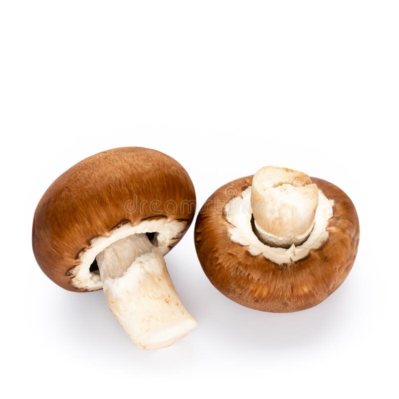 Fresh Champignon Mushrooms Isolated on White. Stock Image - Image of ...