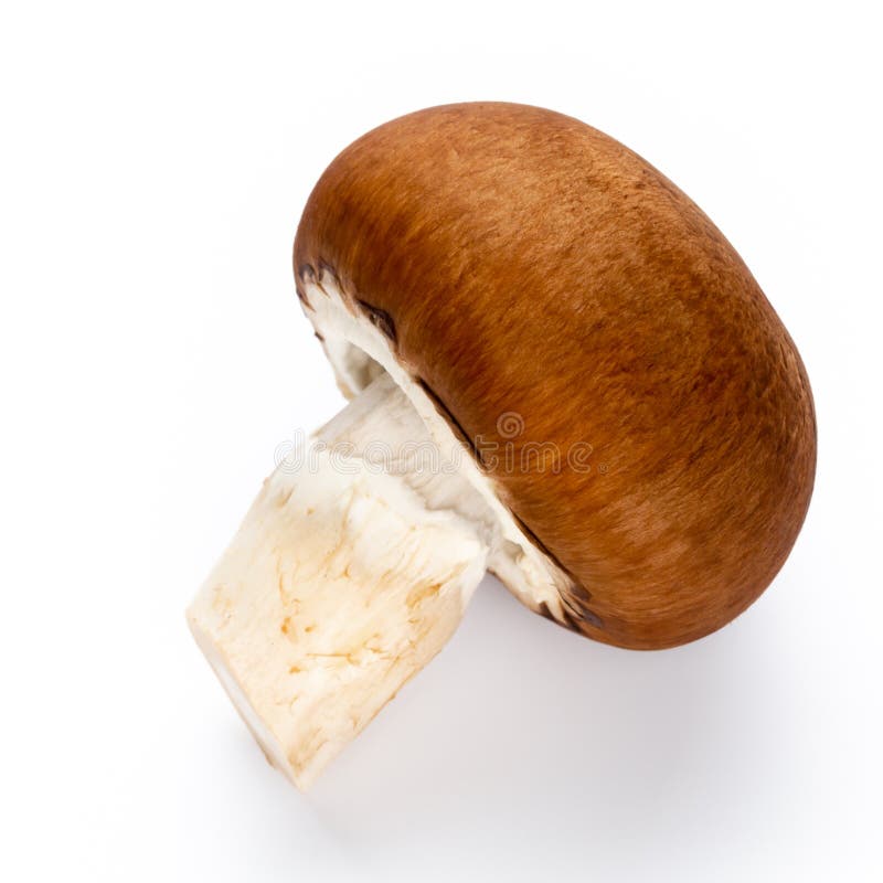 Fresh Champignon Mushrooms Isolated on White Stock Image - Image of ...