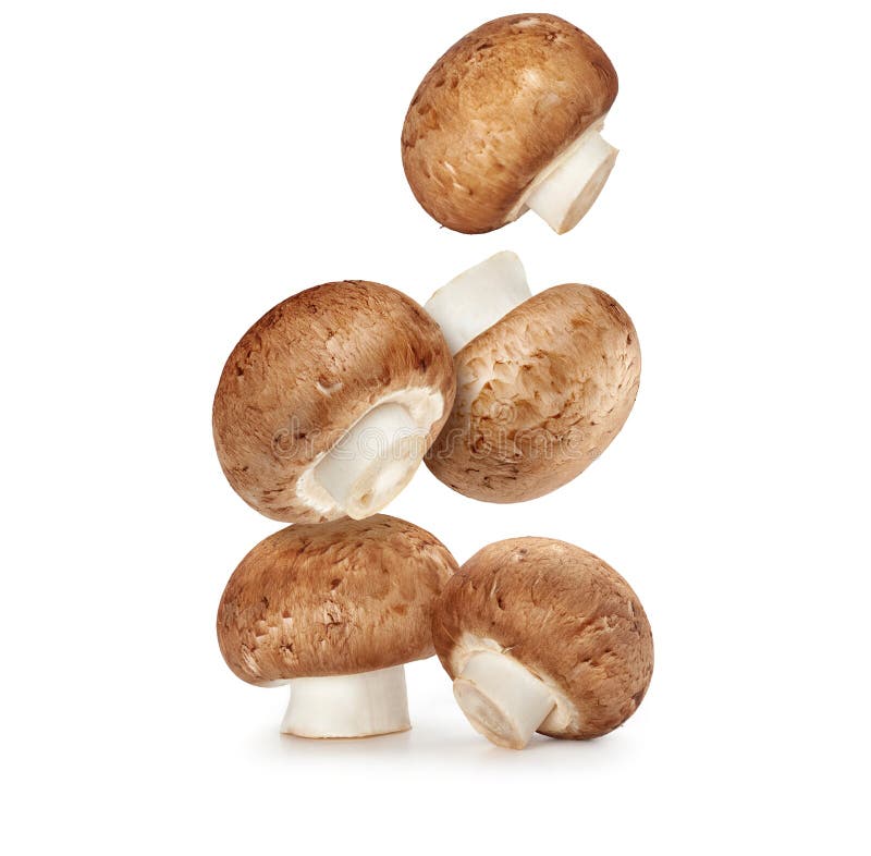 Fresh Champignon Mushrooms Isolated on White Stock Photo - Image of ...