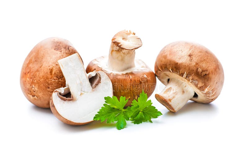 Fresh champignon mushrooms stock image. Image of vegetable - 56572285