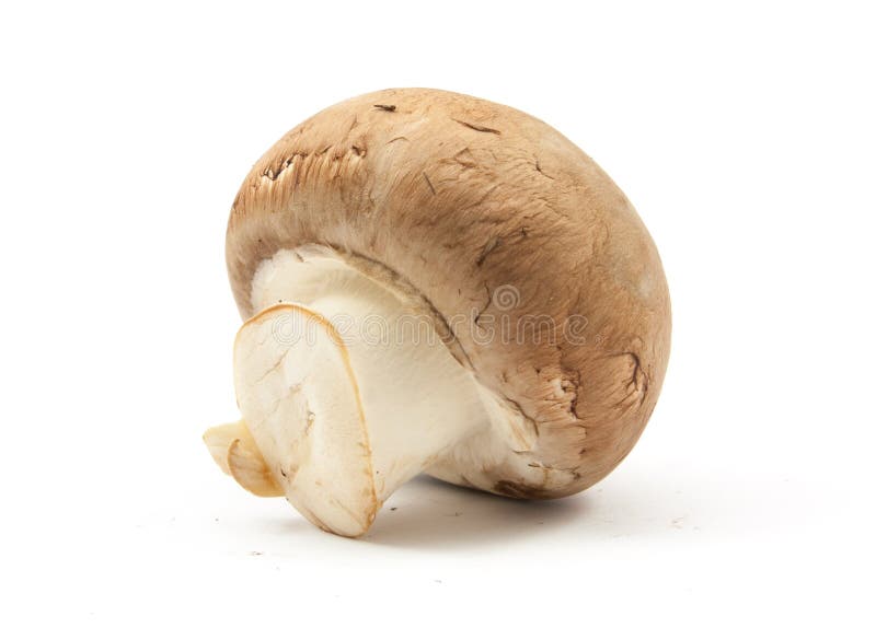 Fresh Champignons Brown Version Isolated Stock Photo - Image of food ...