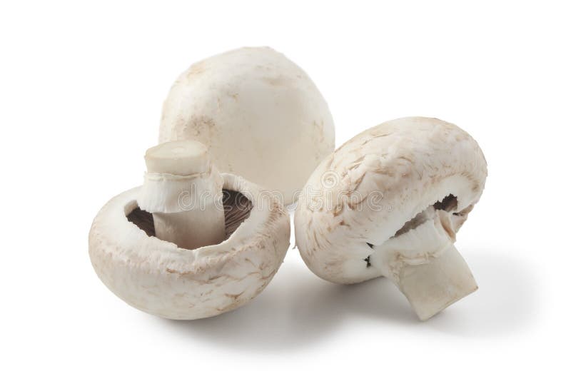 Fresh champignons stock image. Image of mushroom, healthy - 183927531