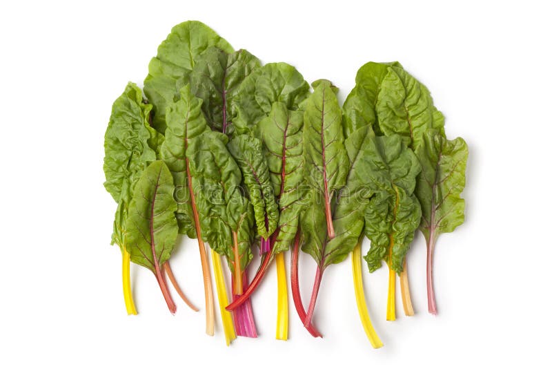 Fresh Chard Leaves in Colors Stock Photo - Image of horizontal, chard ...