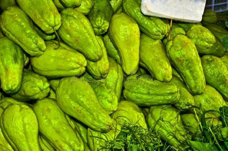 Fresh Chayote Vines In Basket Stock Photo - Image of crop, vegetable ...