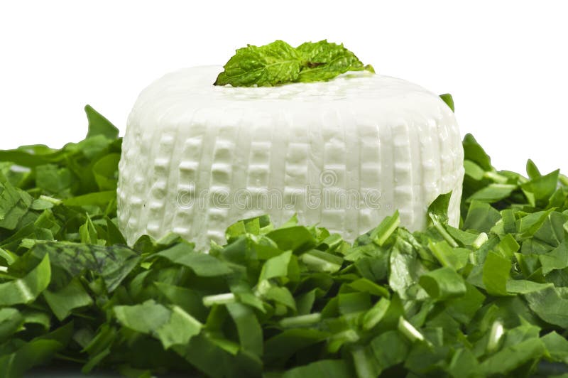 Fresh cheese stock photo. Image of braid, salads, cottage - 22291324