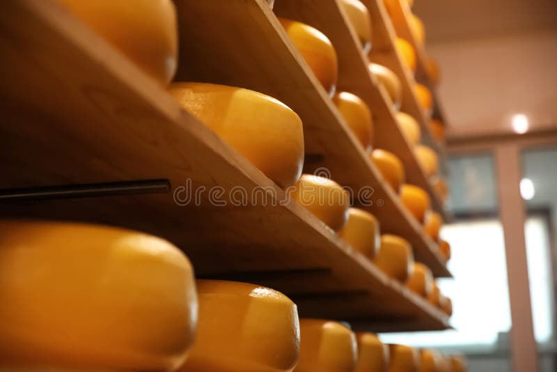 Cheese Heads on Rack in Factory Warehouse Stock Image - Image of ...