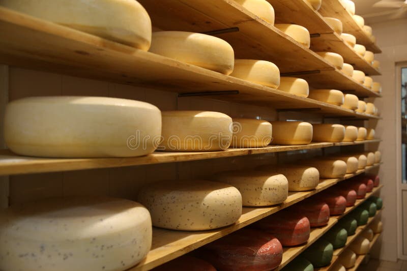Fresh Cheese Heads on Rack in Factory Warehouse Stock Photo - Image of ...
