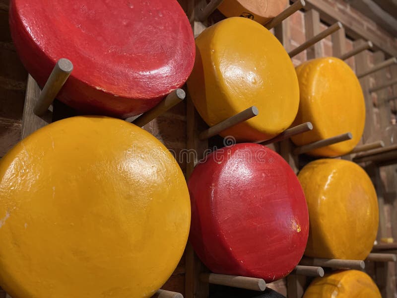 Fresh Cheese Heads on Warehouse. a Collection of Different Types of ...