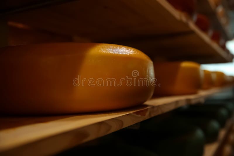Cheese rack stock photo. Image of ageing, shape, store - 9664458