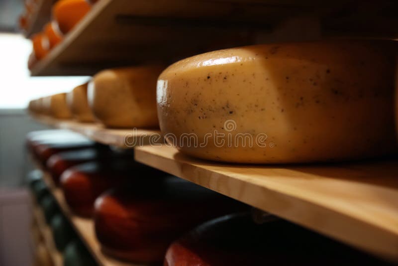 Fresh Cheese on Rack in Factory Warehouse, Closeup Stock Image - Image ...