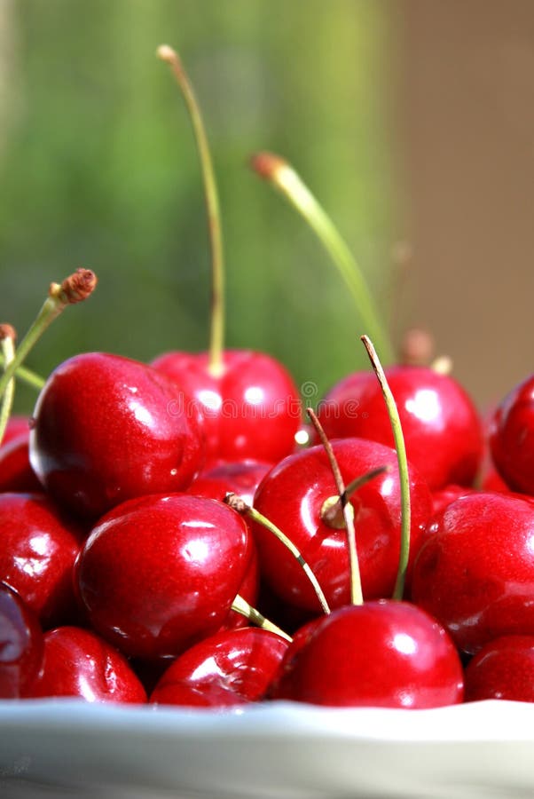 Fresh cherries stock photo. Image of platter, health - 20823180