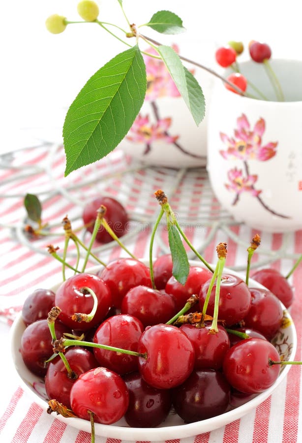 Fresh cherries stock photo. Image of sunlight, sweet - 23147928