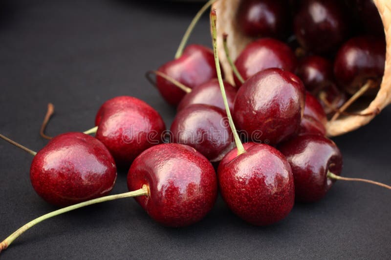 Fresh cherries stock image. Image of cherries, fresh - 36968519