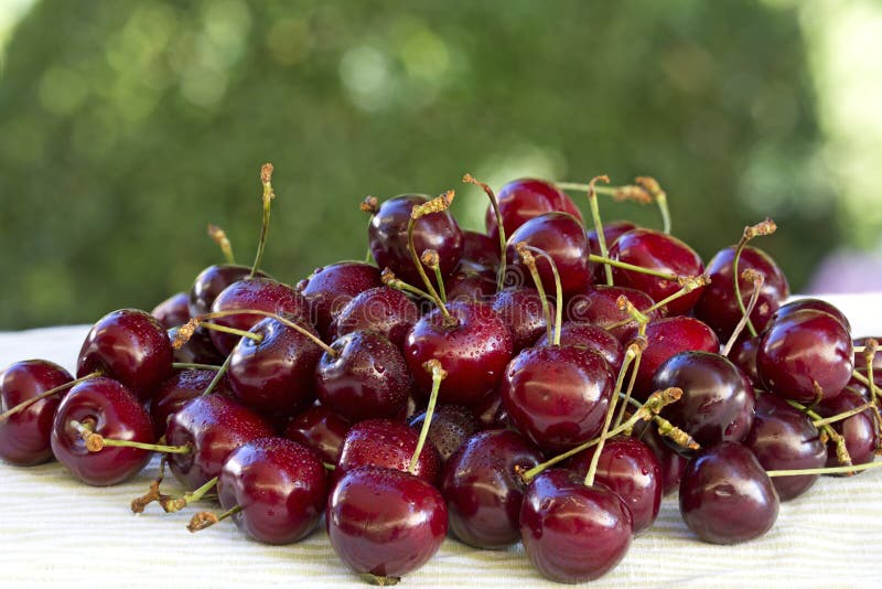 Fresh cherries closeup stock image. Image of group, cherries - 32431907