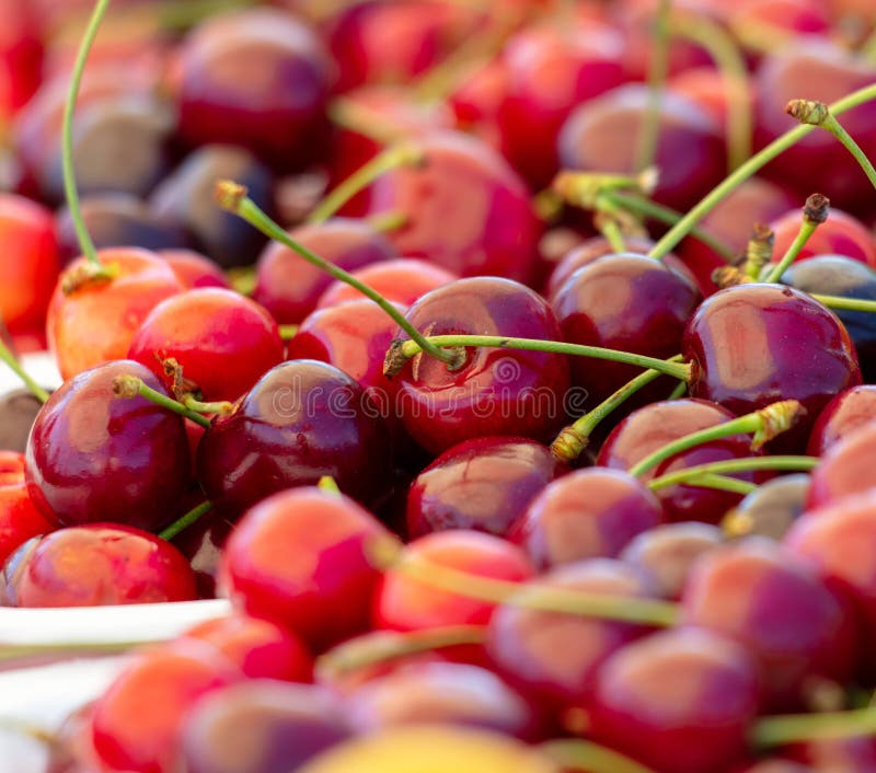 Fresh Cherries on the Counter in the Market Stock Photo - Image of ...