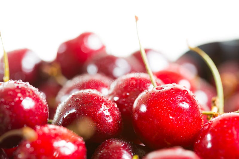 Fresh cherries stock image. Image of branch, gourmet - 32399167