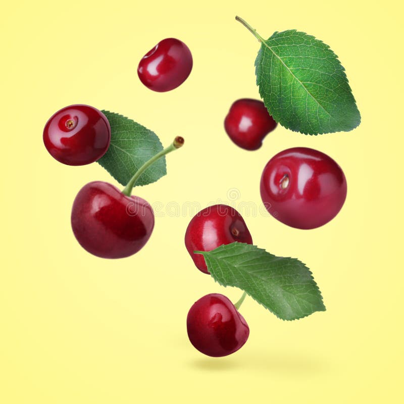 Fresh Cherries and Leaves Falling on Light Yellow Background Stock ...