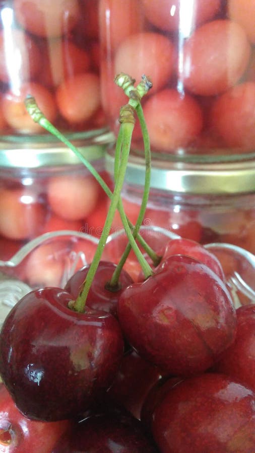 Fresh cherries stock photo. Image of homemade, fresh - 94972468