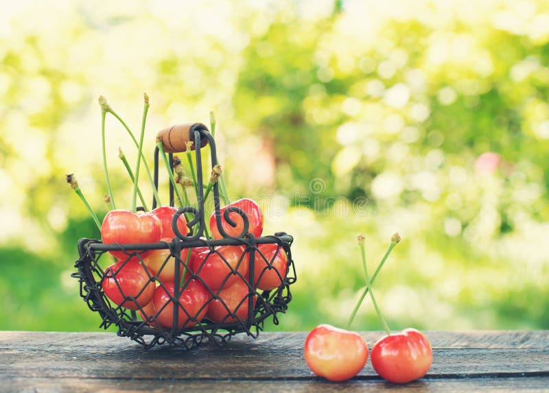 Fresh Cherries in Tiny Metal Vintage Basket Stock Image - Image of ...