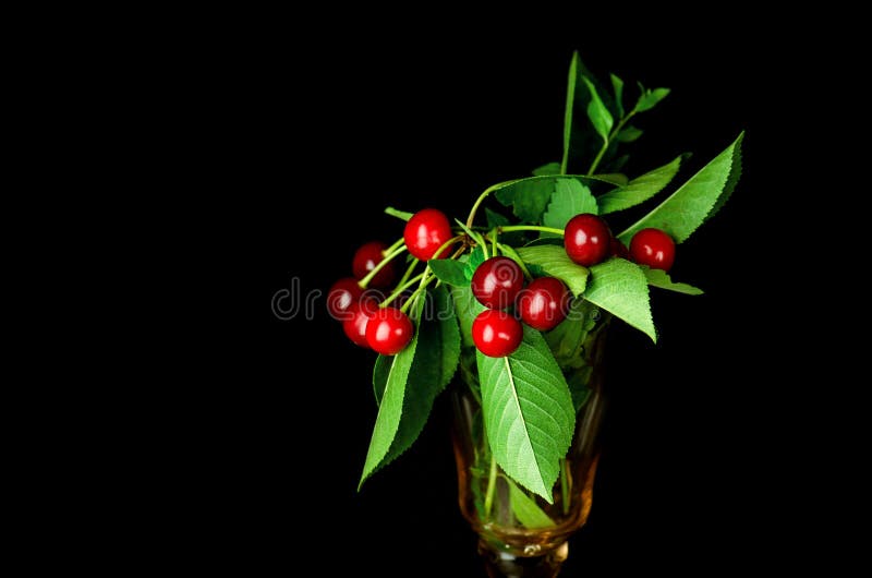 Fresh Cherry on Black Background Stock Photo - Image of delicious ...