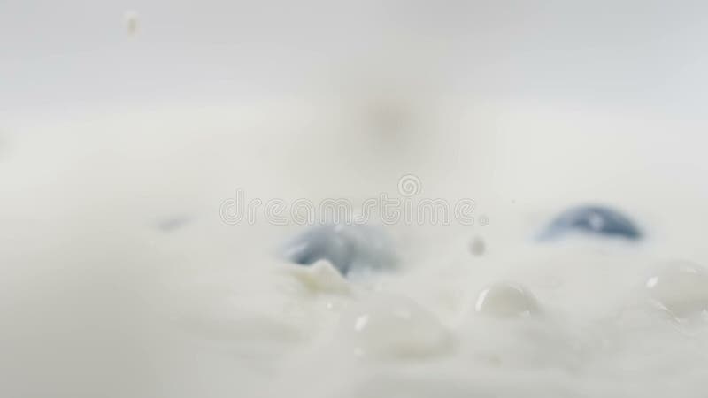 Fresh Cherry Fruits Fall on Milk with Splash Stock Video - Video of ...