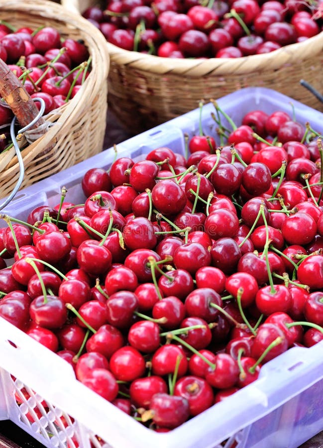 Fresh cherry fruits stock photo. Image of ripe, bunch - 32672484